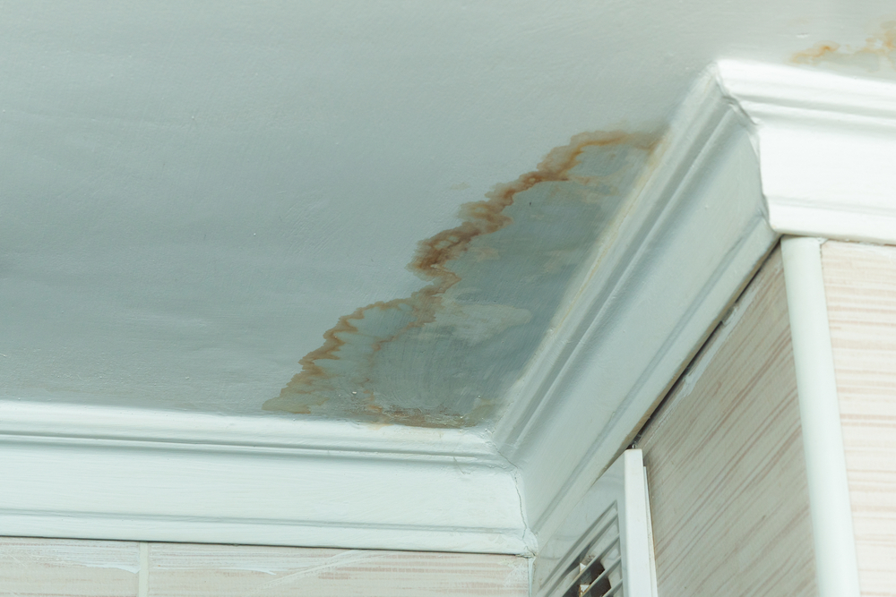 What Is Property Damage Liability (PDL) Insurance Coverage? What Is Property Damage Liability (PDL) Insurance Coverage?